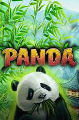 Panda Slot Game Free to Play Online - HellSpin